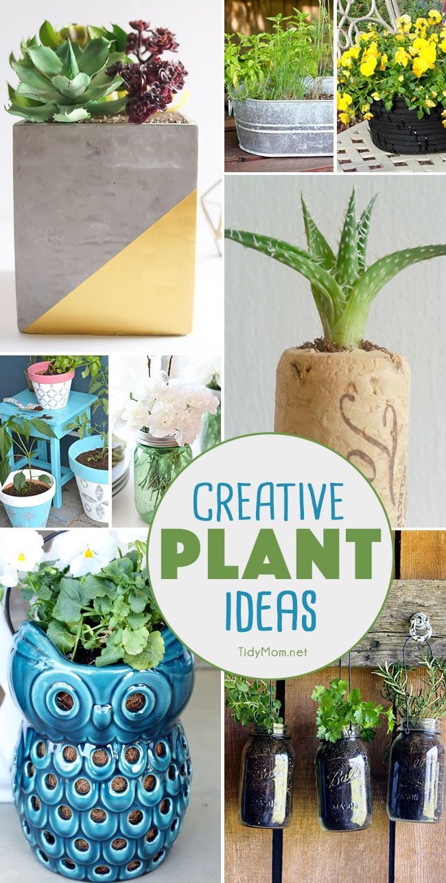 9 Creative Plant Ideas TidyMom