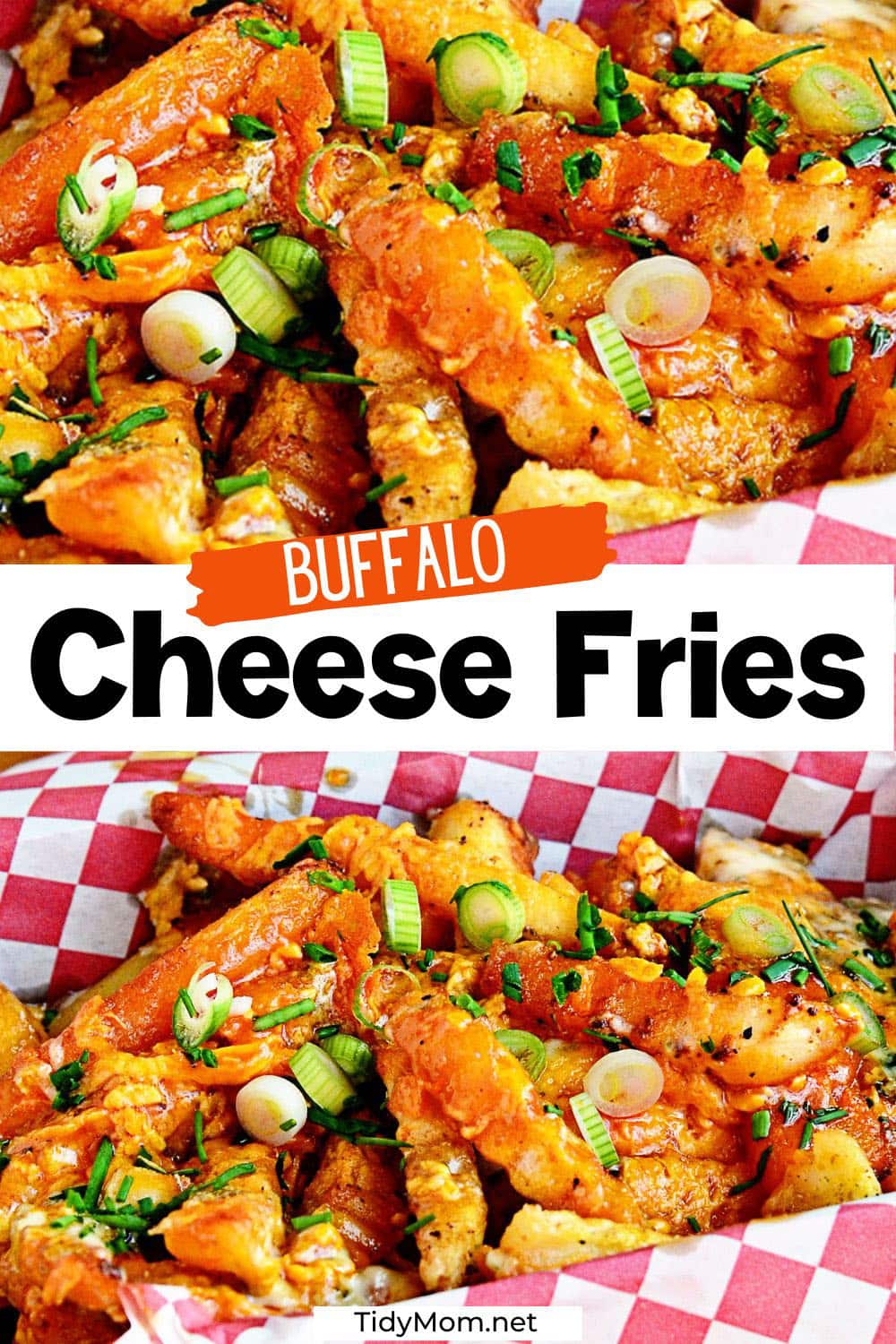 Buffalo Cheese Fries