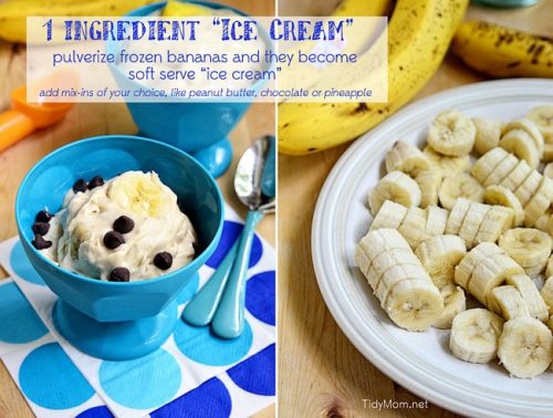 1 Ingredient Ice Cream