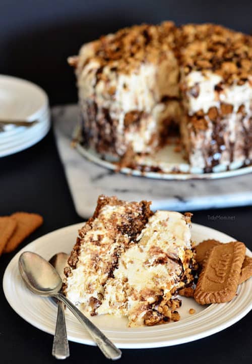 Biscoff Crunch Ice Cream Cake | TidyMom®