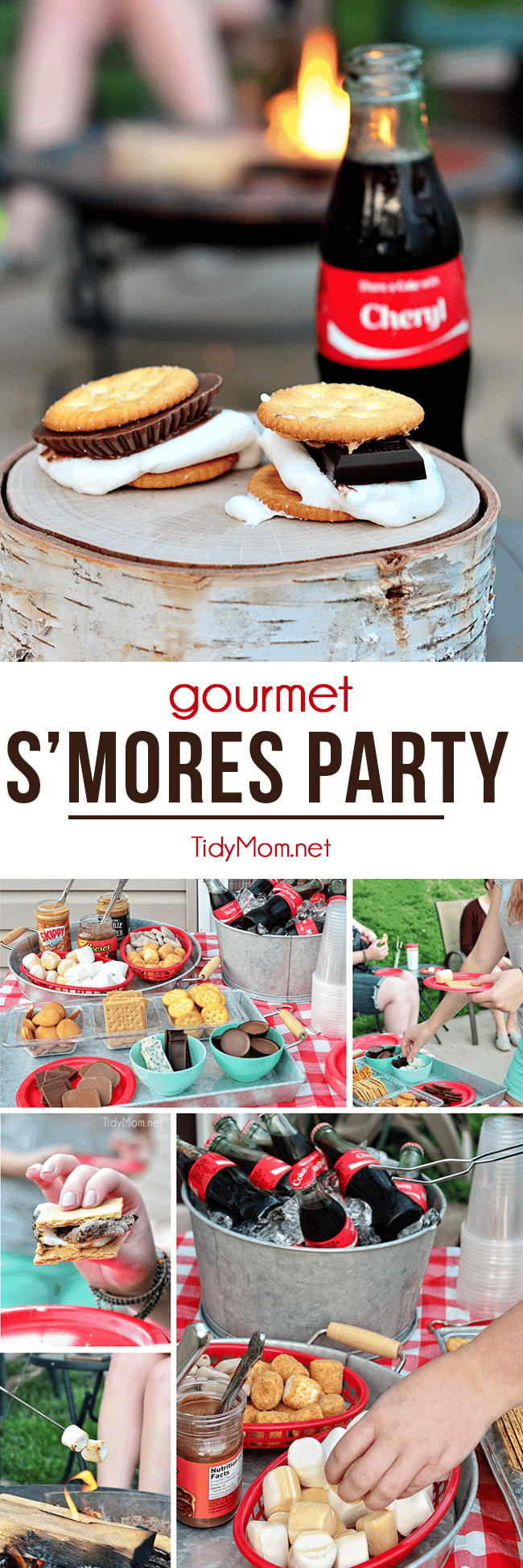 Gourmet S'mores Party - TidyMom®