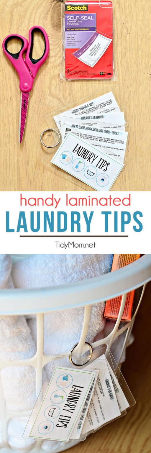Printable Laundry Tips Laminated Flip Book