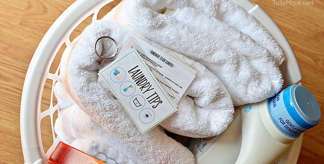 Printable Laundry Tips Laminated Flip Book