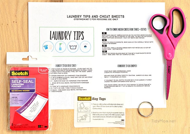 Printable Laundry Tips Laminated Flip Book