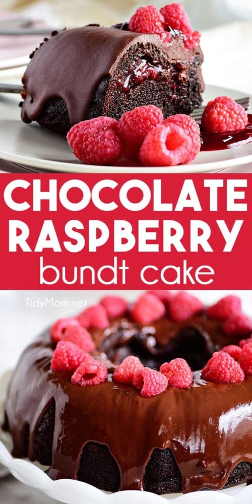 Chocolate Raspberry Bundt Cake (VIDEO) - TidyMom®