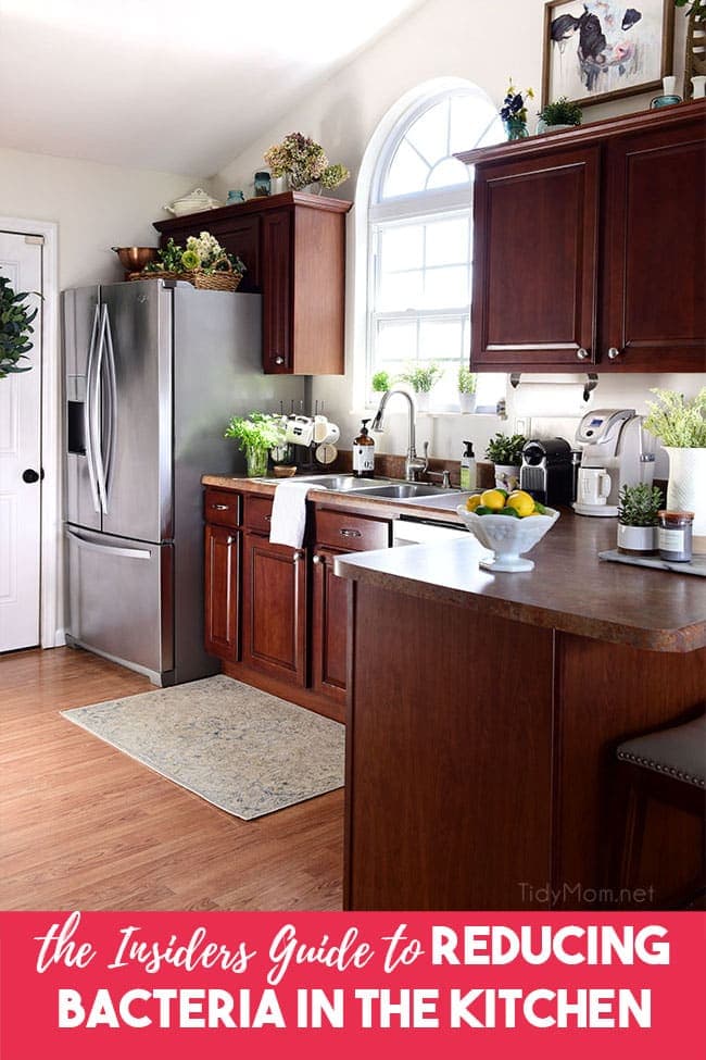 The Insiders Guide To Reducing Bacteria In The Kitchen - TidyMom®