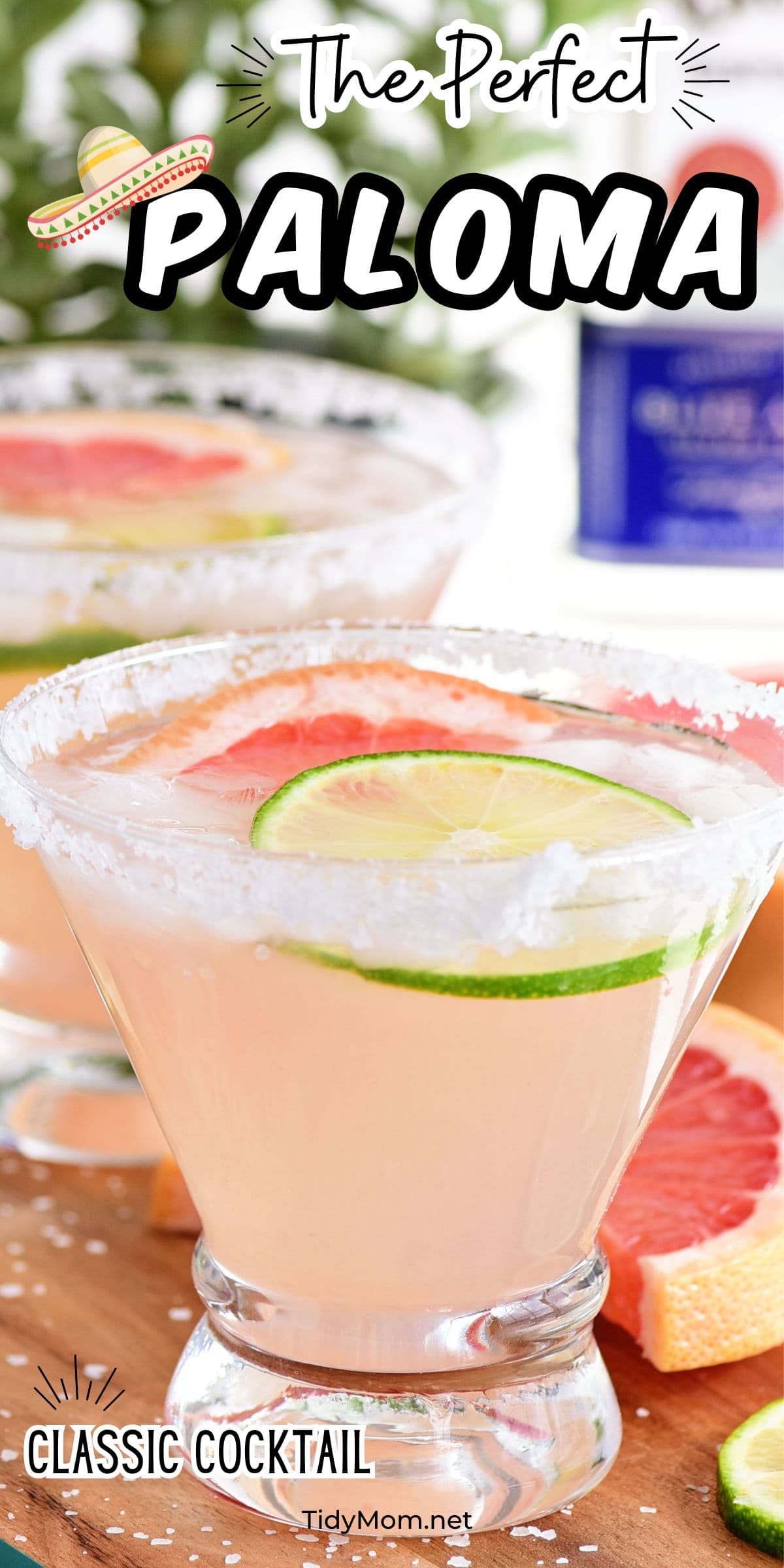 The Perfect Paloma Cocktail Recipe - TidyMom®
