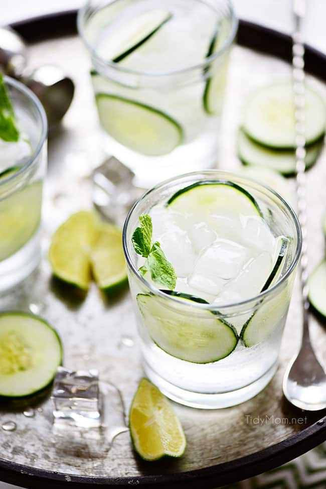 Sparkling Cucumber Gimlet - TidyMom®