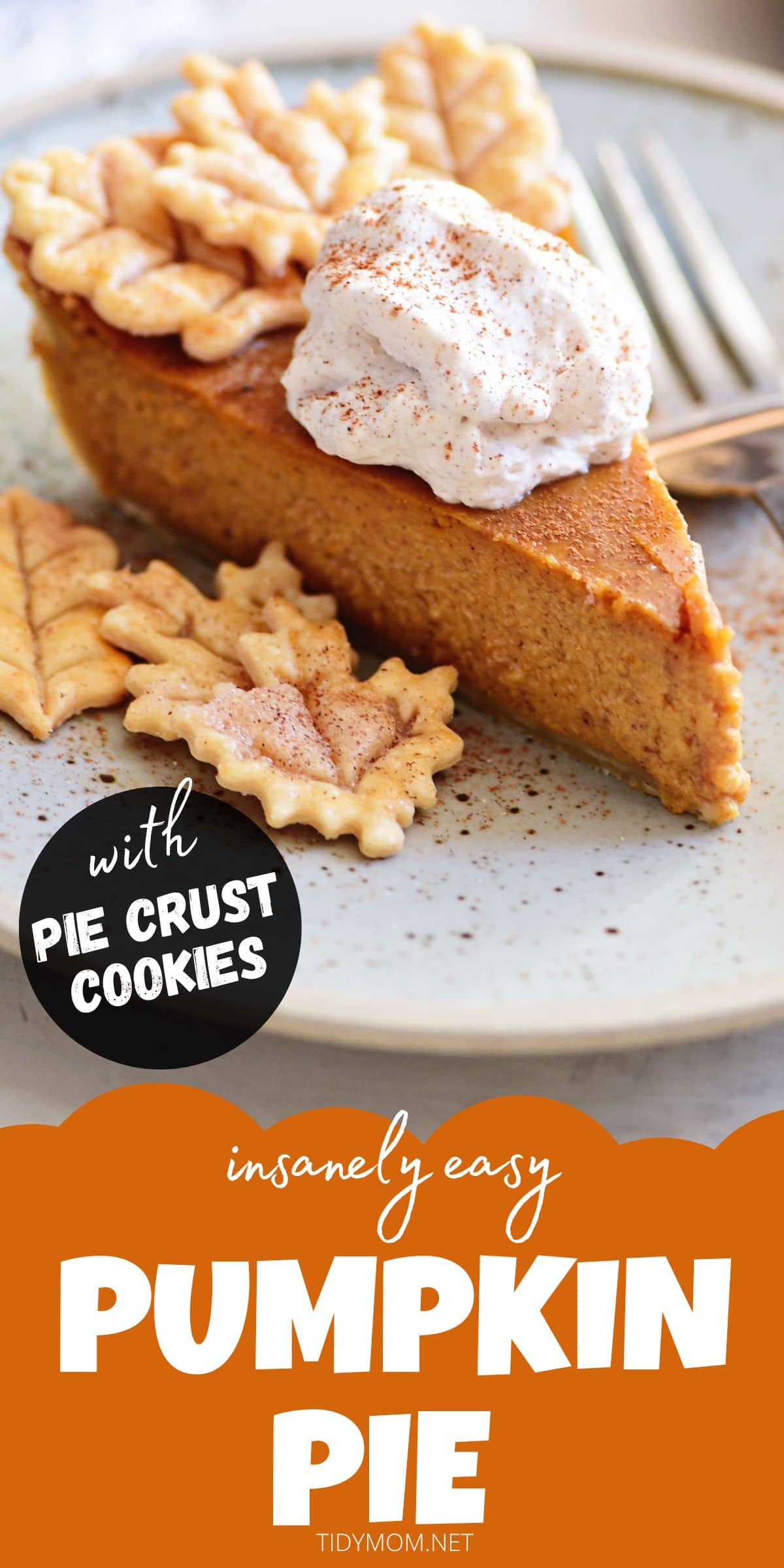 Insanely Easy Pumpkin Pie {VIDEO} - TidyMom®