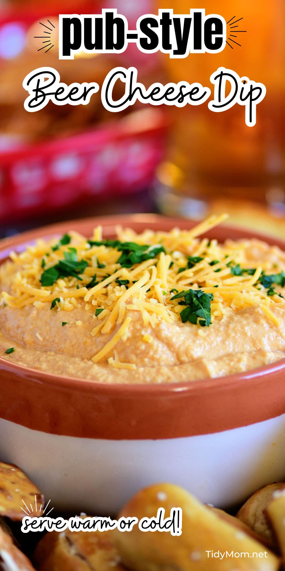 Beer Cheese Dip - Pub-Style {with Video} - TidyMom®