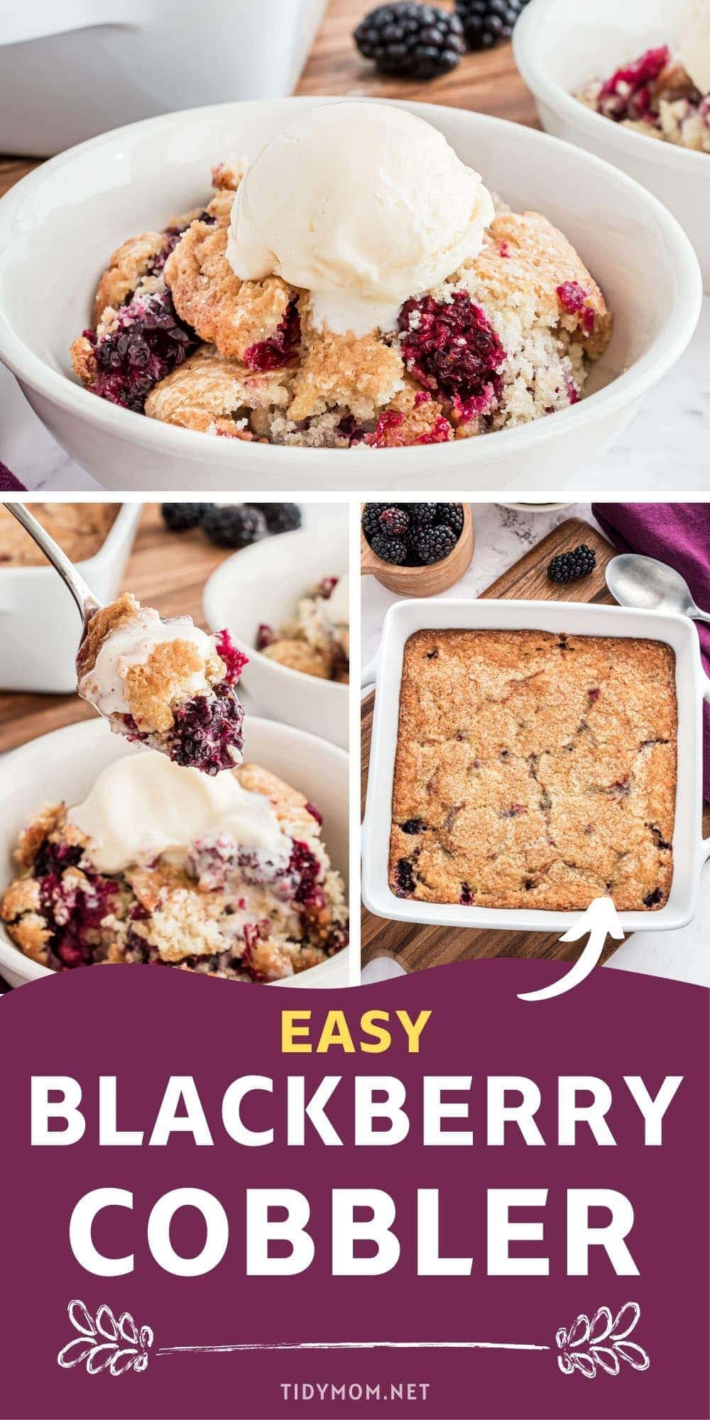Blackberry Cobbler