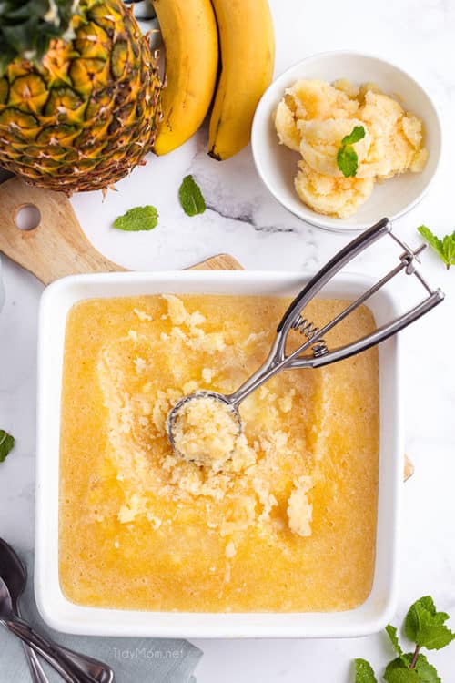 Easy Italian Ice Recipe - TidyMom®