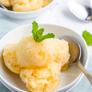 Easy Italian Ice Recipe - TidyMom®