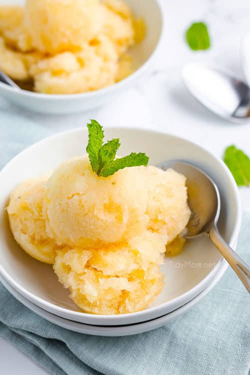 Easy Italian Ice Recipe - TidyMom®