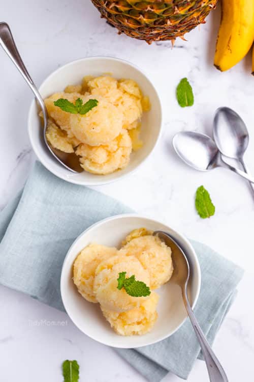 Easy Italian Ice Recipe - TidyMom®