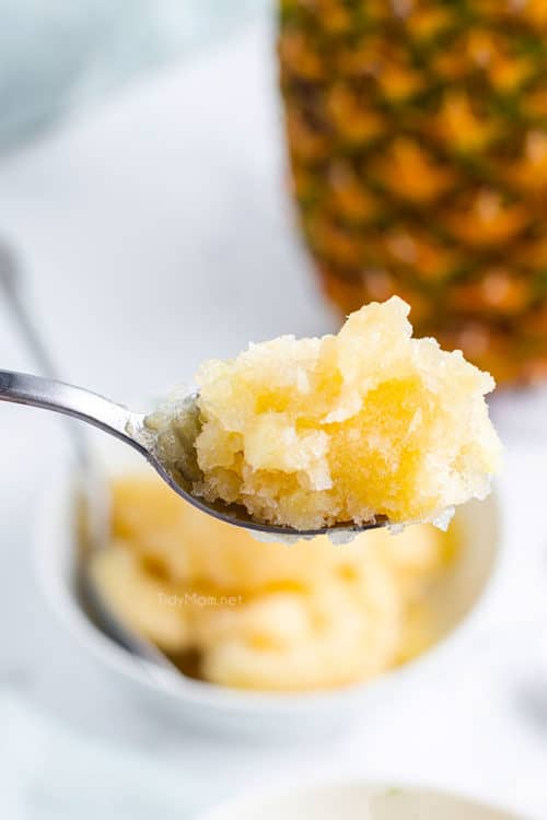 Easy Italian Ice Recipe - TidyMom®