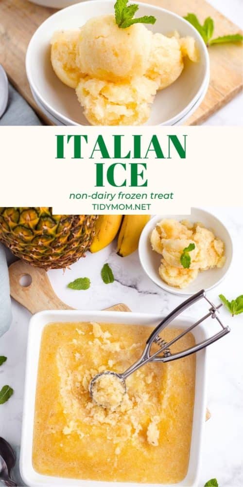 Easy Italian Ice Recipe - TidyMom®