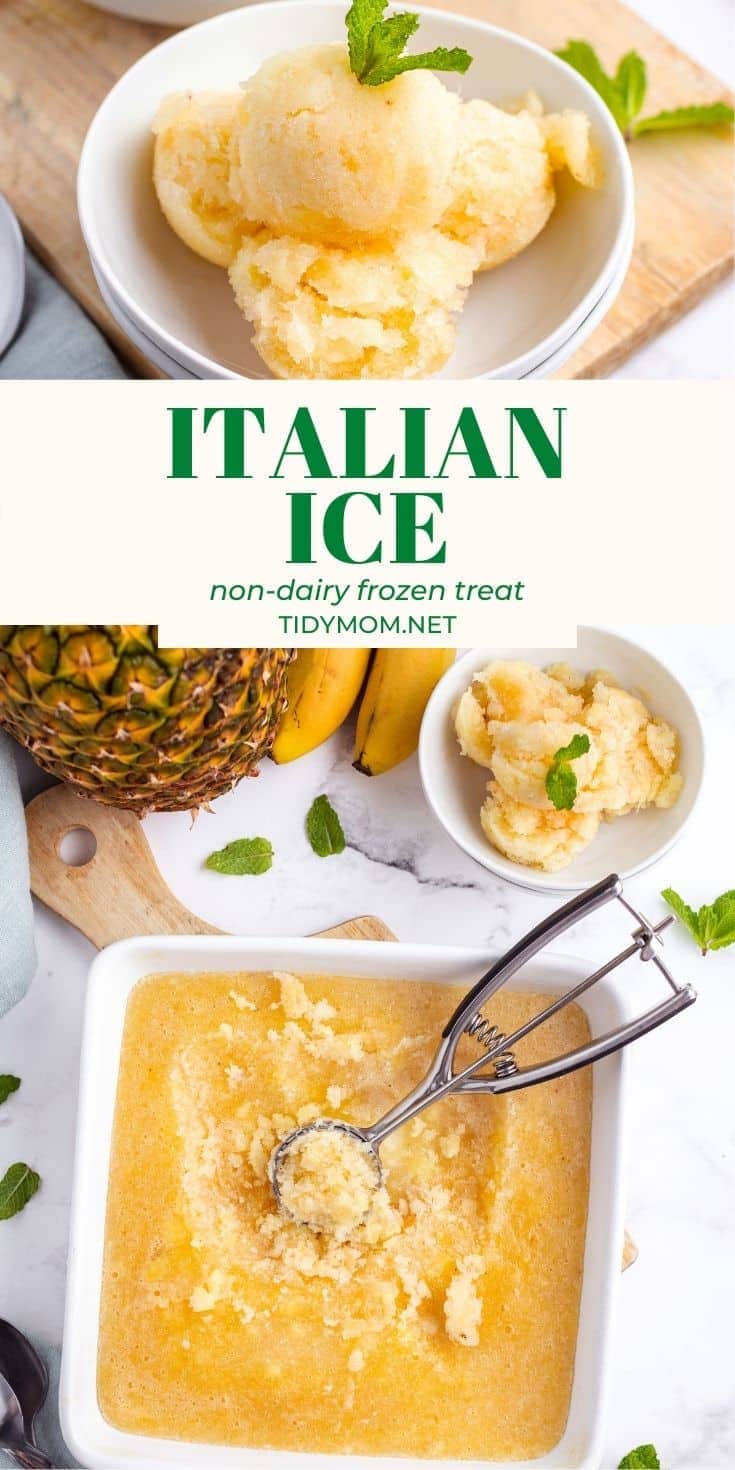 Easy Italian Ice Recipe - TidyMom®