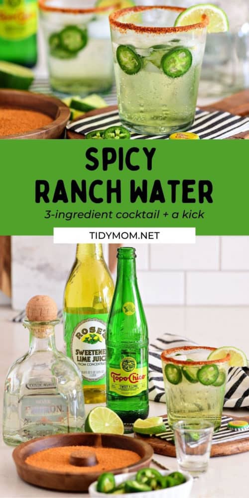 Spicy Ranch Water - TidyMom®