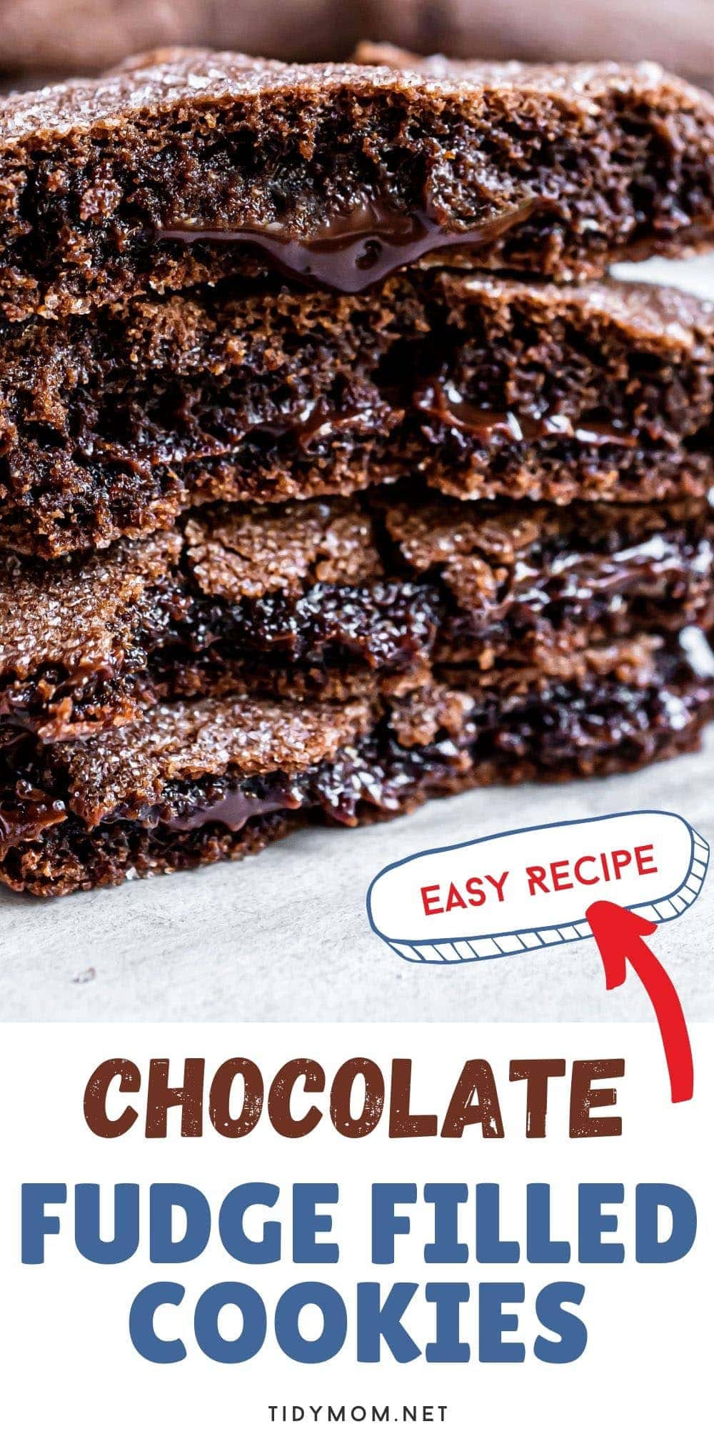 Chocolate Fudge Cookies {VIDEO} - TidyMom®