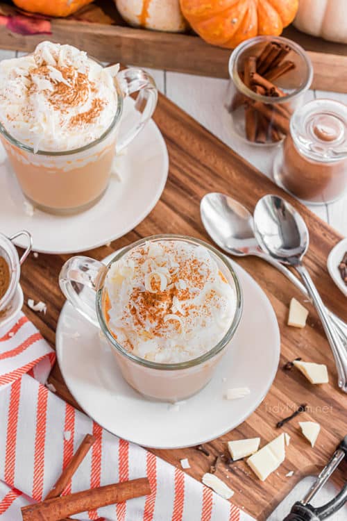 Pumpkin Spice Hot Chocolate - TidyMom®