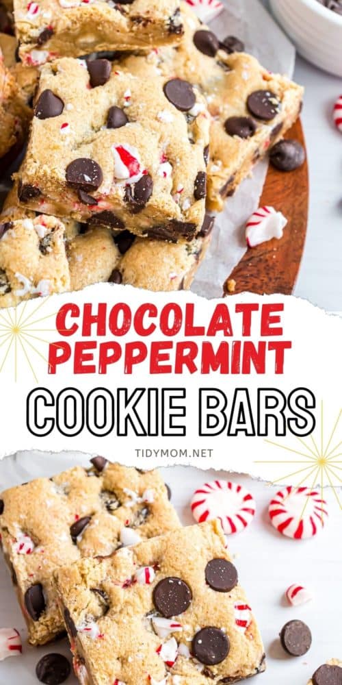 Dark Chocolate Peppermint Cookie Bars - TidyMom®
