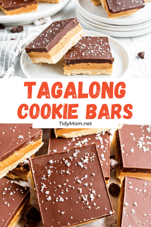 How To Make Homemade Tagalong Bars - TidyMom®