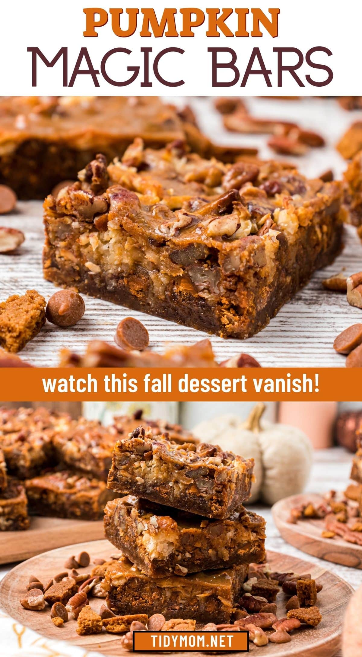 Pumpkin Magic Bars - 7 Layer Bar Recipe - TidyMom®