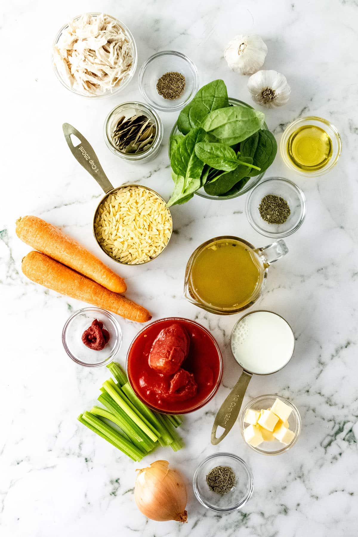 Creamy Tomato Turkey Orzo Soup Recipe - TidyMom®