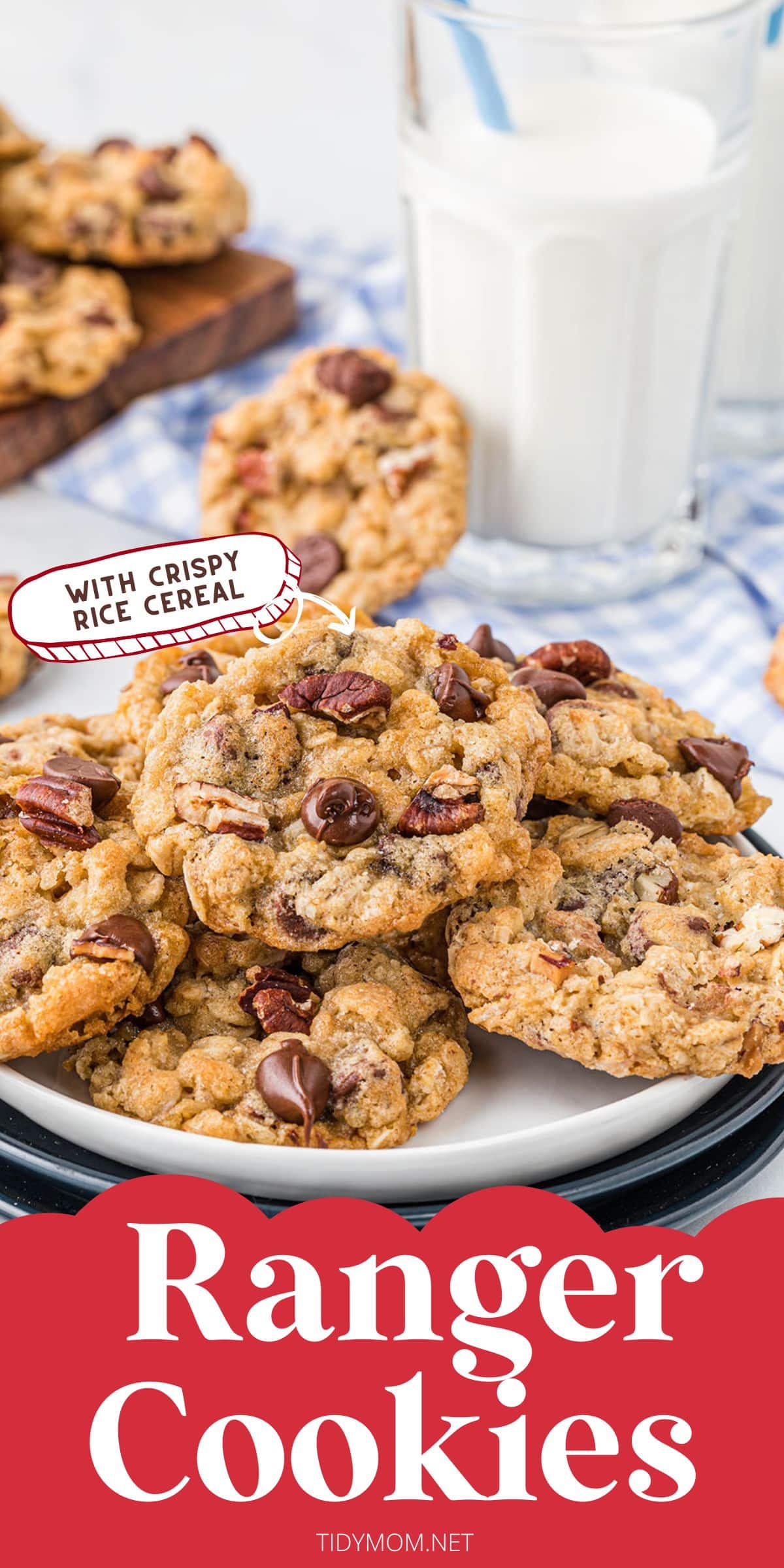 Ranger Cookies (Oatmeal Cookie Recipe) - TidyMom®