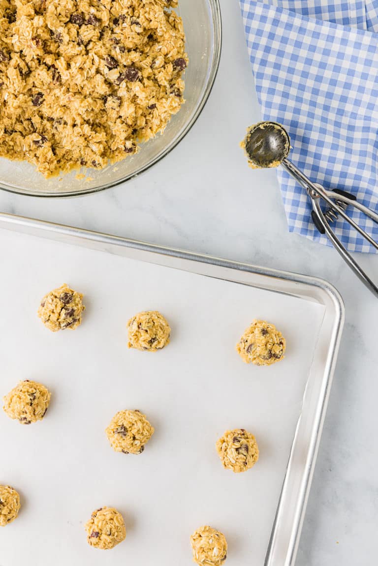 Ranger Cookies (Oatmeal Cookie Recipe) - TidyMom®