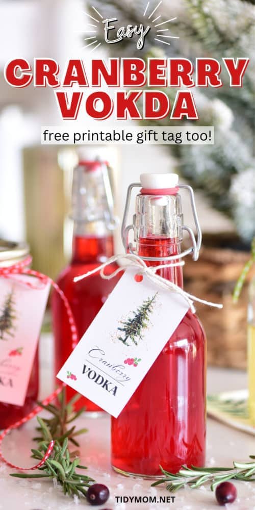 Cranberry Vodka Infusion (Homemade Flavored Vodka Gifts) - TidyMom®