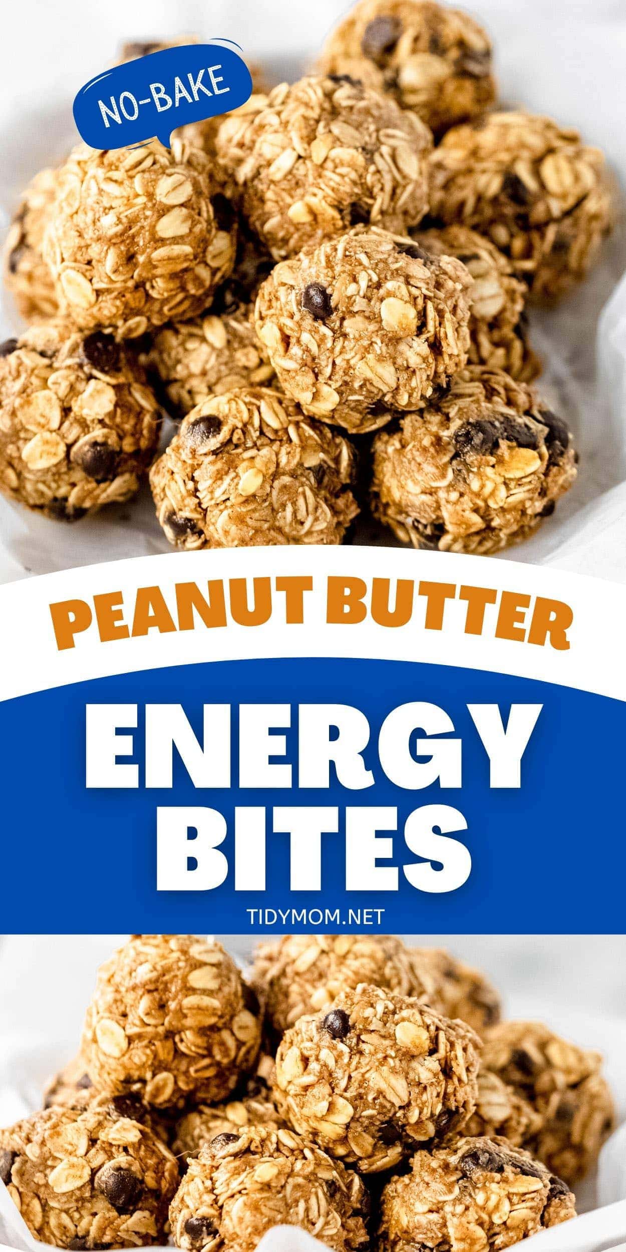Peanut Butter No-Bake Energy Bites - TidyMom®