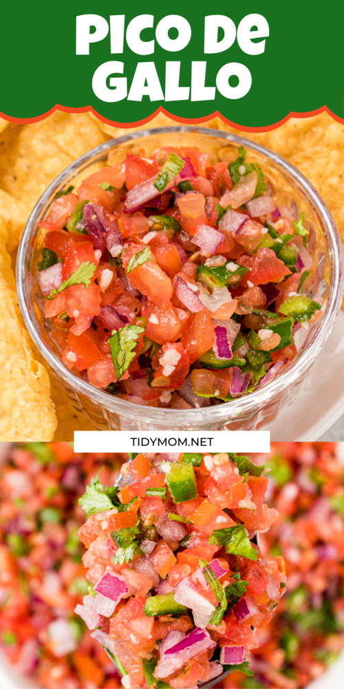 Pico de Gallo-The Rooster’s Beak (Salsa Fresca) - TidyMom®