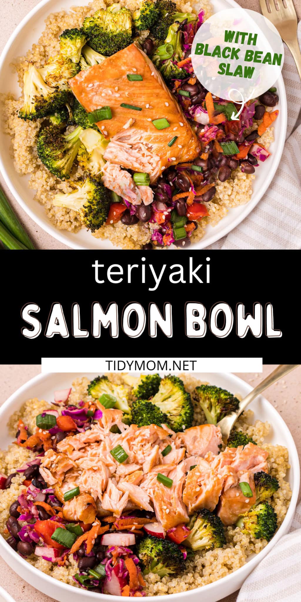 Teriyaki Salmon Bowl Quinoa Recipe Asian Slaw Tidymom®