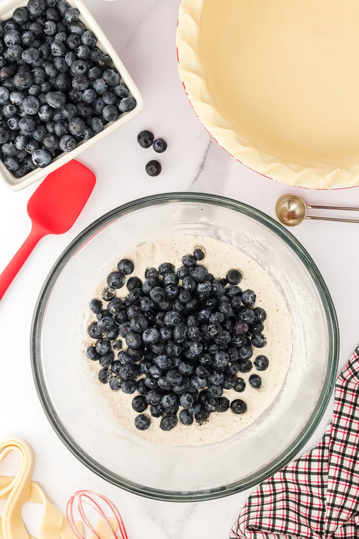 Homemade Blueberry Pie With Lattice Pie Crust - TidyMom®