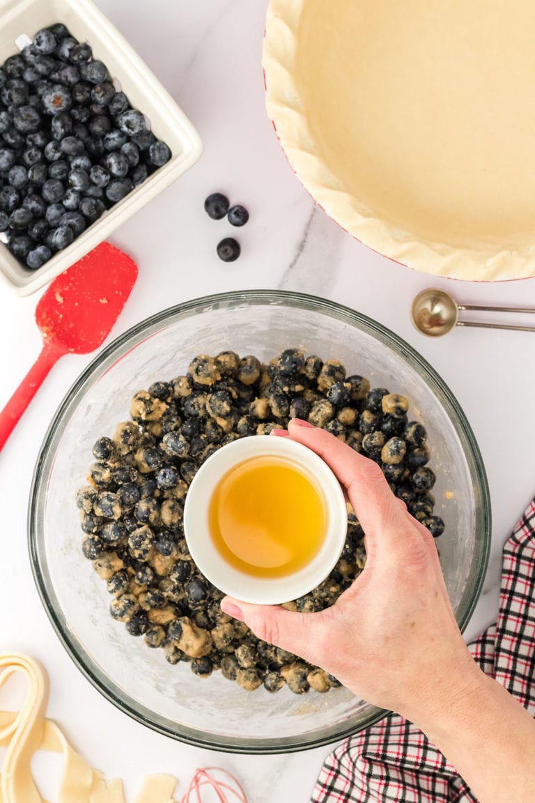 Homemade Blueberry Pie With Lattice Pie Crust - TidyMom®