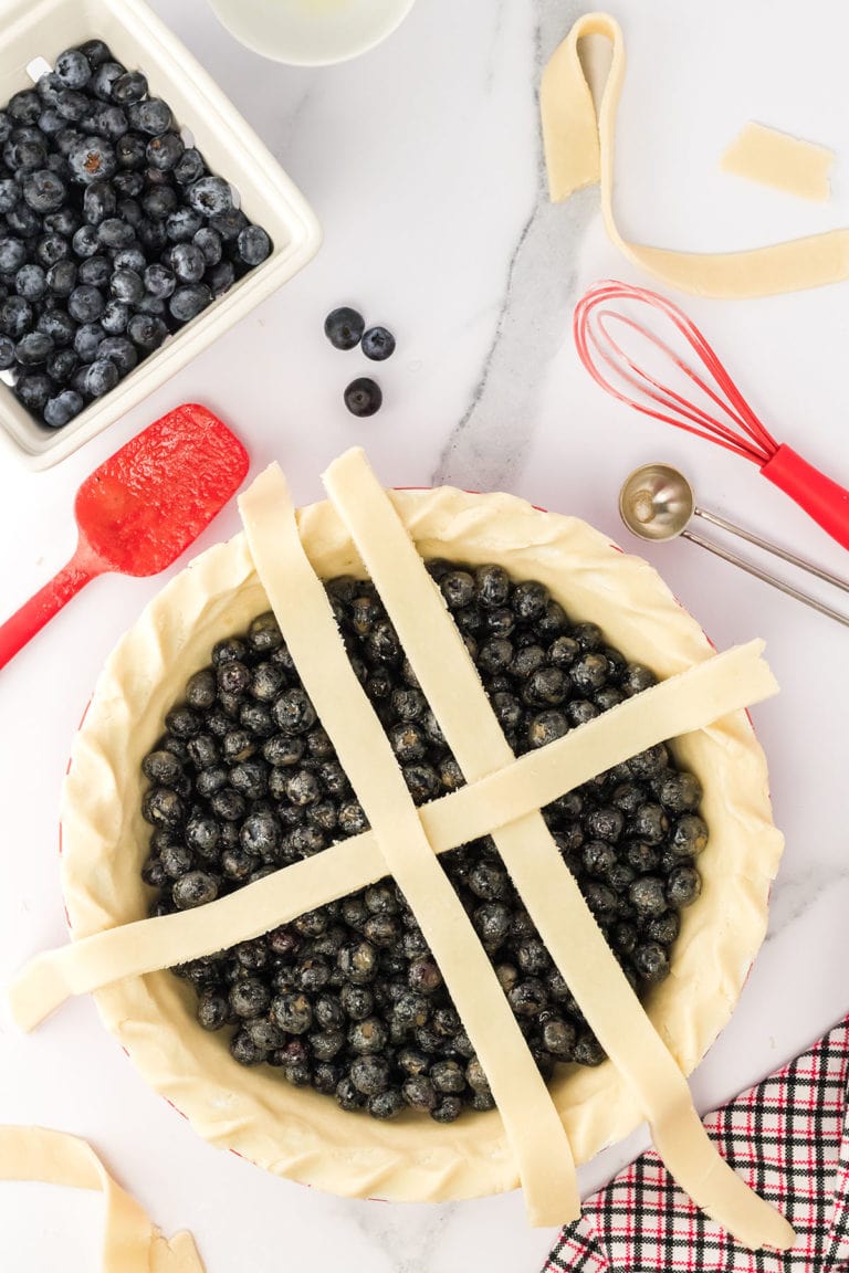 Homemade Blueberry Pie With Lattice Pie Crust - TidyMom®