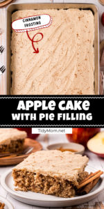 Easy Apple Cake Recipe Using Spice Cake Mix - TidyMom®