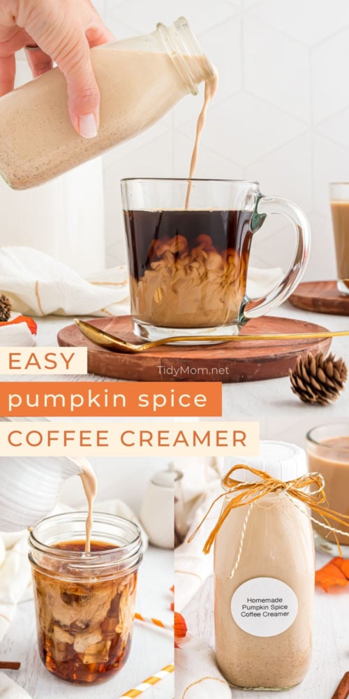 Homemade Pumpkin Spice Coffee Creamer Recipe - TidyMom®