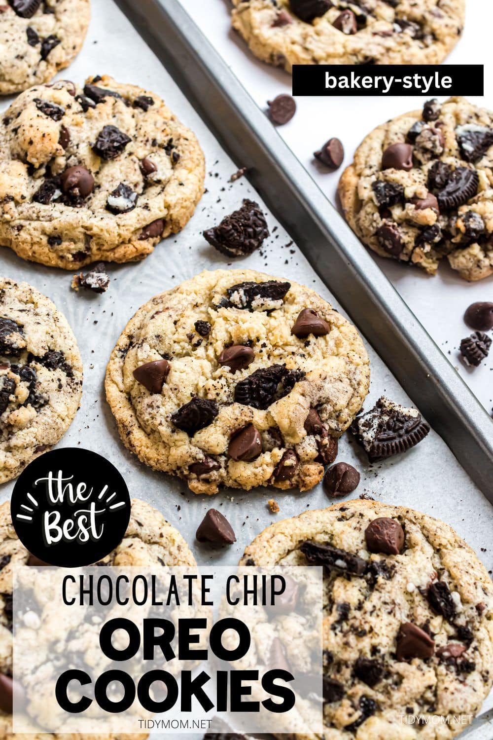 Chocolate Chip Oreo Cookies - TidyMom®