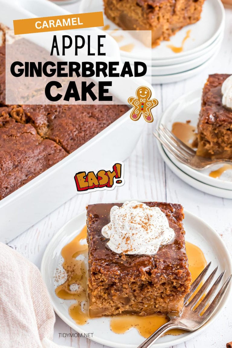 Gingerbread Apple Cake