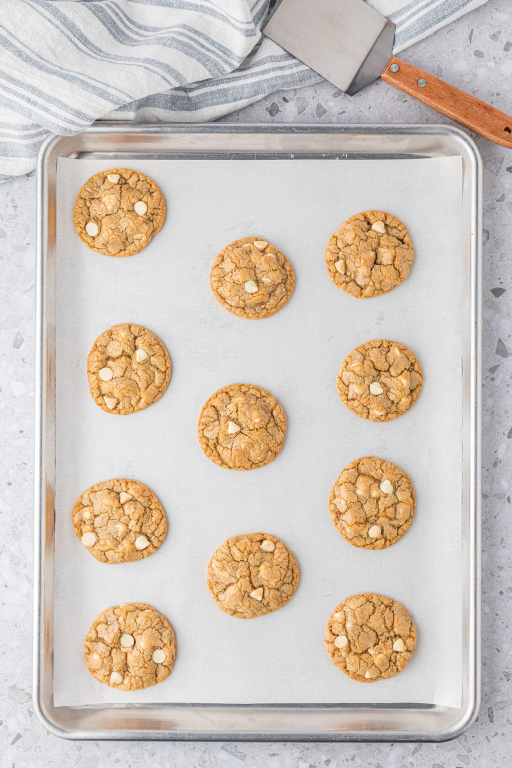 Sugar Doodles-Cinnamon Sugar Cookies - TidyMom®