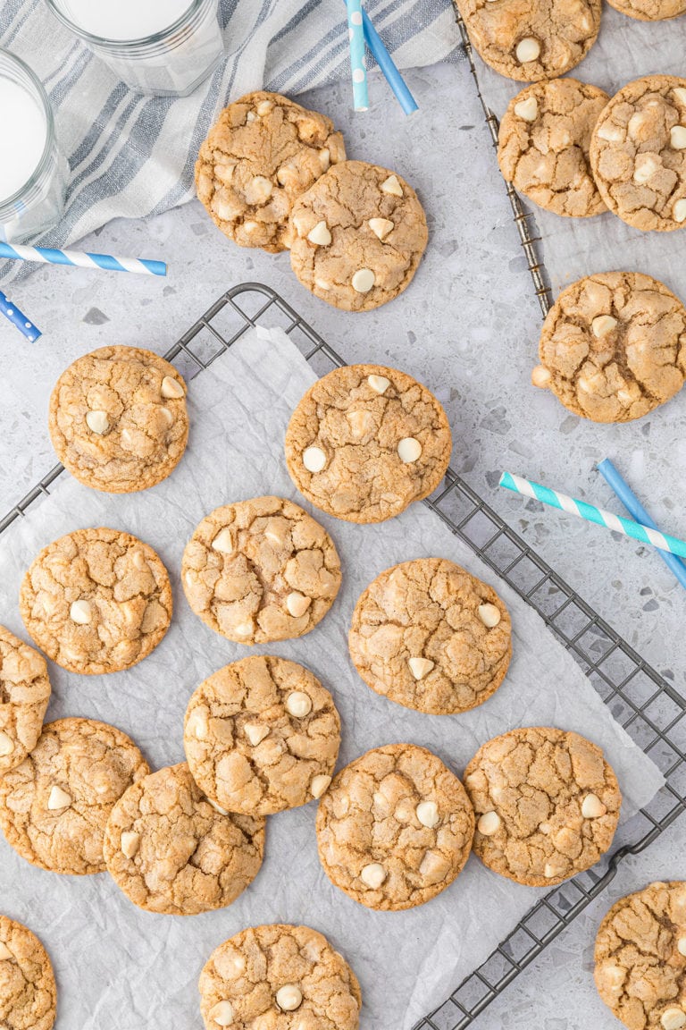 Sugar Doodles-Cinnamon Sugar Cookies - TidyMom®