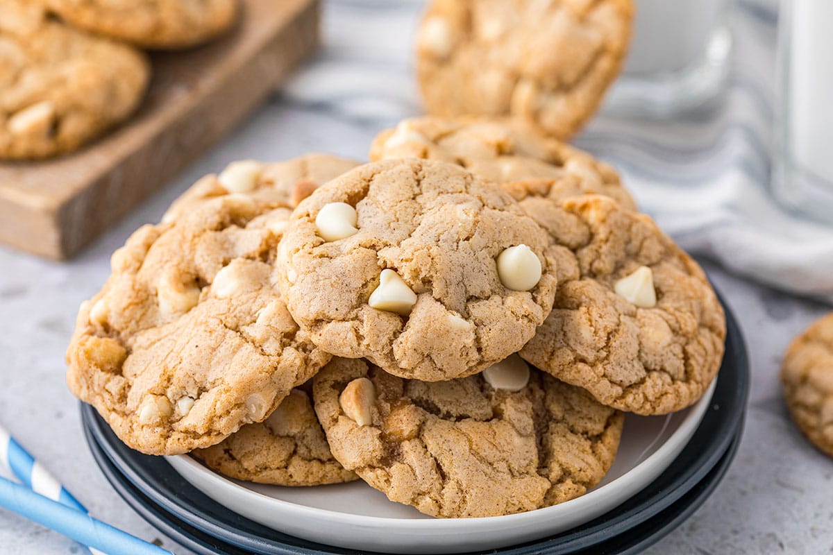 Sugar Doodles-Cinnamon Sugar Cookies - TidyMom®