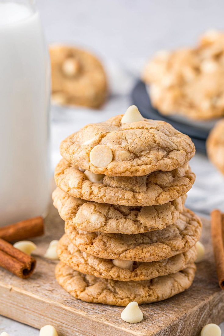 Sugar Doodles-Cinnamon Sugar Cookies - TidyMom®