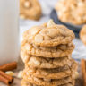 Sugar Doodles-Cinnamon Sugar Cookies - TidyMom®