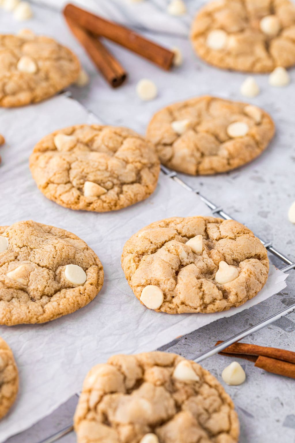 Sugar Doodles-Cinnamon Sugar Cookies - TidyMom®