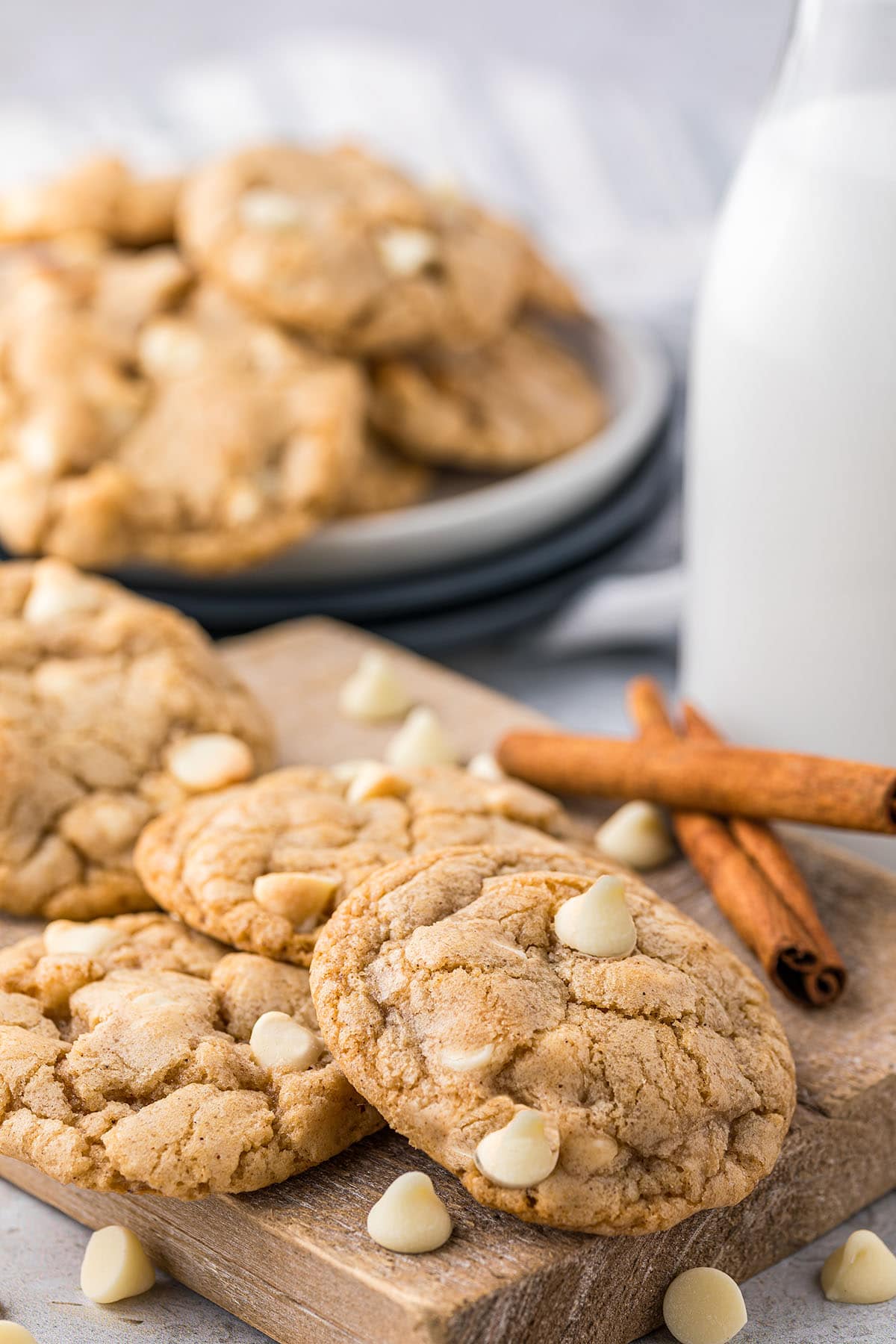 Sugar Doodles-Cinnamon Sugar Cookies - TidyMom®