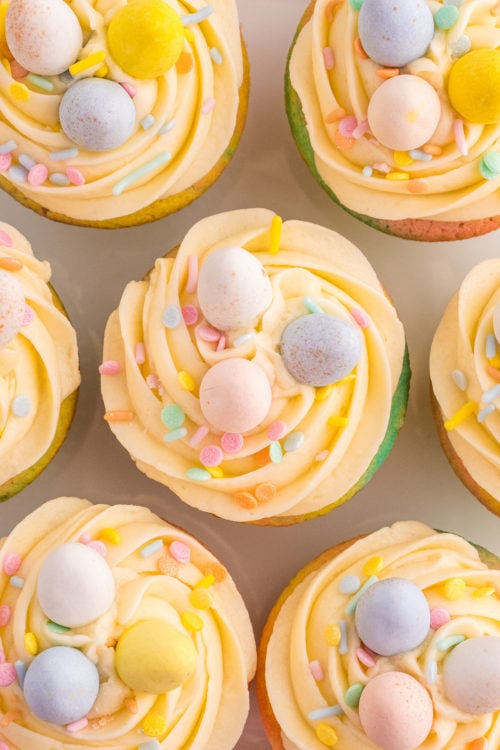 Easy Pastel Spring Cupcakes For Easter - TidyMom®